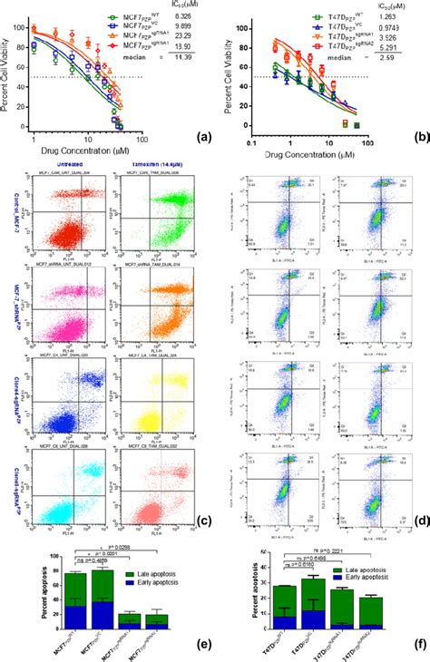 Cell Viability And Apoptosis Assay A B Ic50 Of Tamoxifen For Mcf7 And