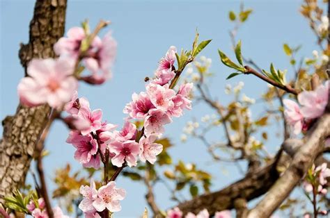 官宣泰州入春 我苏网