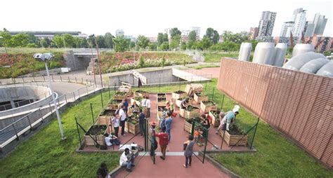 Il Parco Dora Uno Spazio Che Vive Torinoclick