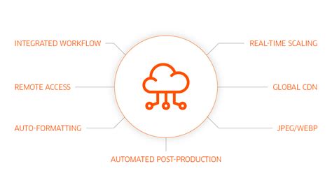 Does Your Business Need Digital Asset Management Software