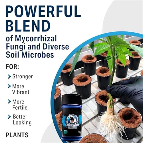 Great White Mycorrhizal Fungi Root Enhancer By Plant Success