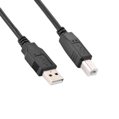 Esquire Technologies Unique 5m Usb 2 0 A Male To Usb 2 0 B Male Printer Cable