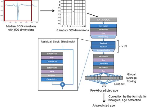 Figure 1 From Cardiovascular Events And Artificial Intelligence Predicted Age Using 12 Lead