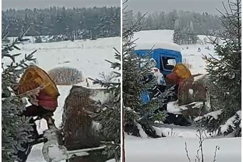 Reginys Utenos rajone privertė išsitraukti kamerą stebėjosi tokia
