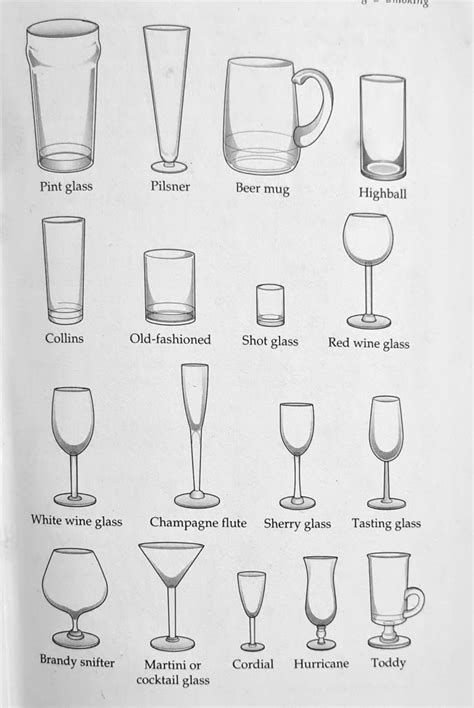 Types Of Glasses A Complete Guide