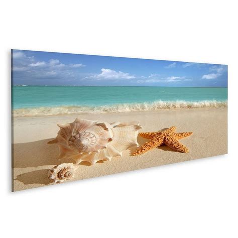 Islandburner Leinwandbild Bild Auf Leinwand Muscheln Seesterne Sand