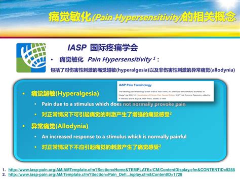 Ppt 与痛觉敏化相关的 理论基础 Powerpoint Presentation Free Download Id 5999515