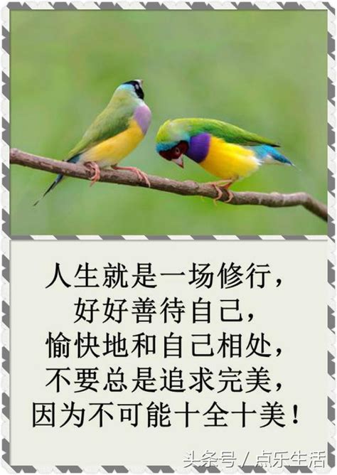 人啊人，難，難，難，難，難，難，難，難，難，別讓自己再為難！ 每日頭條