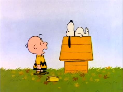 Codys Film Tv And Video Game Blog Youre Not Elected Charlie Brown 1972