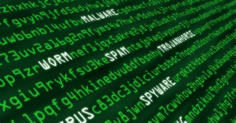 Linux Server Malware Scanner And Server Security