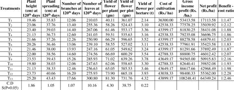 Effect Of Different Nitrogen Doses Azotobactor Psb And Pmb On Plant Download Scientific