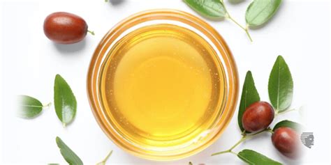Amazing Benefits Of Jojoba Oil For Hair Growth And How To Use It Ahs Uae