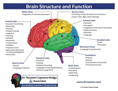 Motor Imagery Brain Mapping