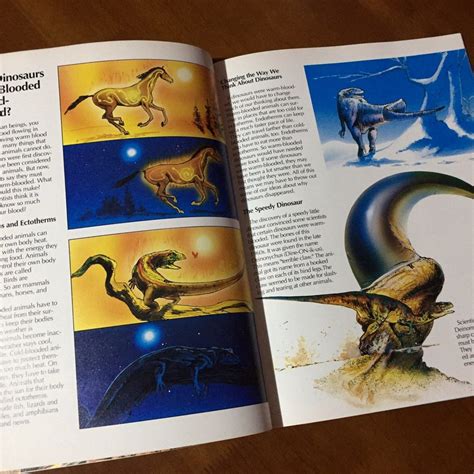 Dinosaur Mysteries By Mary Oneill Illustrated By John Bindon Hobbies And Toys Books