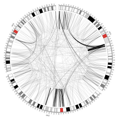 Tutorial Images Circos Circular Genome Data Visualization