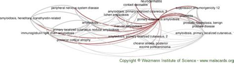 Primary Cutaneous Amyloidosis Disease Malacards Research Articles