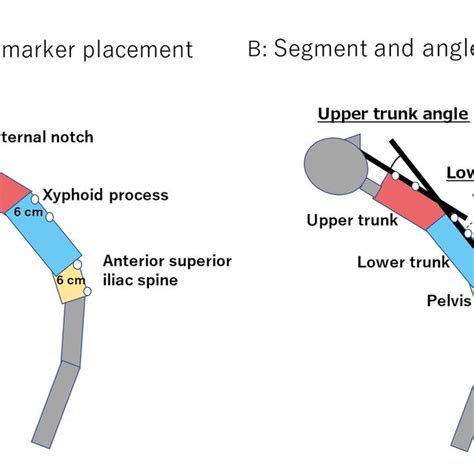 A Marker Positioning For Trunk Extension Angle Measurements B