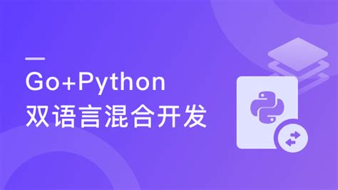 Gopython打造电商系统 自研微服务框架 抓紧高薪机遇（完整版）泓优网络