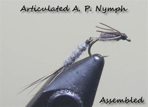 Flytying New And Old Articulated A P Nymph