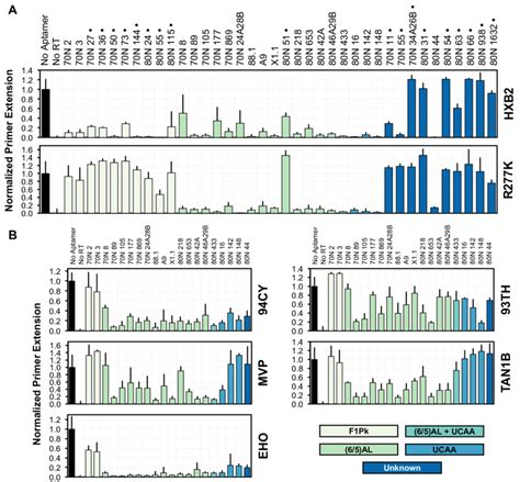 Rt Inhibition Assays Reveal Broad Spectrum Phenotypes A Aptamer