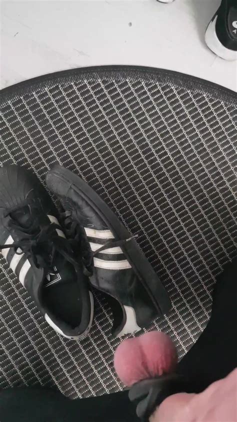 Cumming Adidas Superstars