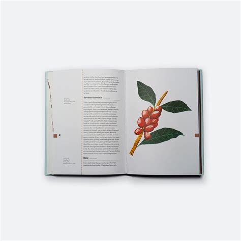 The Coffee Dictionary – Maxwell Dashwood