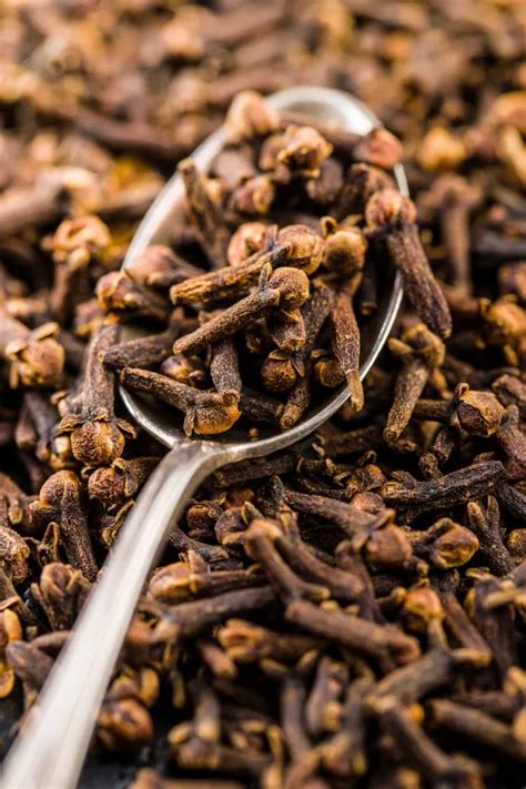 Mengenal Cengkeh Bumbu Ikonik Dari Indonesia Kebunindo