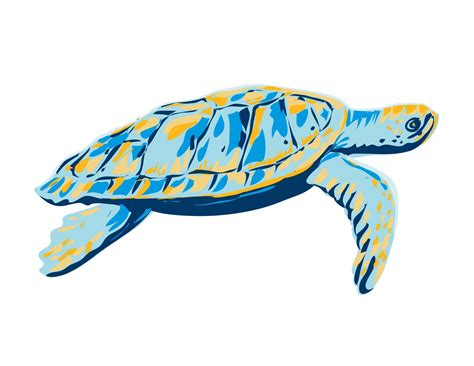 Loggerhead Sea Turtle Side View Wpa Poster Art 21011254 Vector Art At Vecteezy