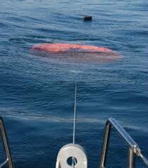 Large Sea Anchor Drogue Sports Equipment Fishing On Carousell