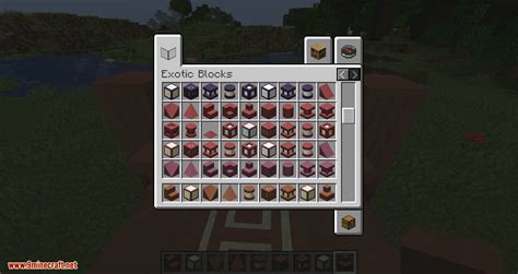 Exotic Blocks Mod 1minecraft