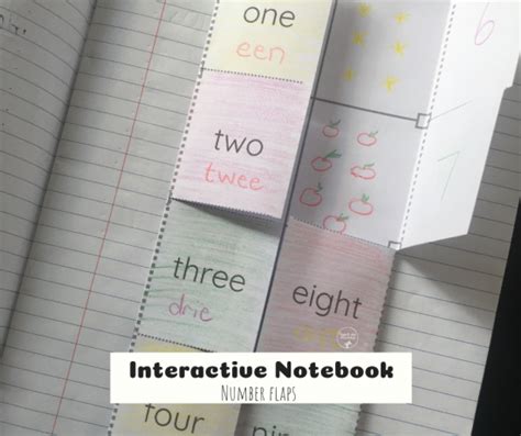 Interactive Notebook Numbers Teach Me Mommy