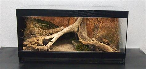 Терариум за Леопардов Гекон серия Natural Блог на Gekon