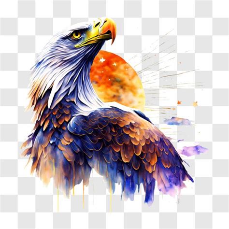 Download Colorful Bald Eagle Painting Png Online Creative Fabrica
