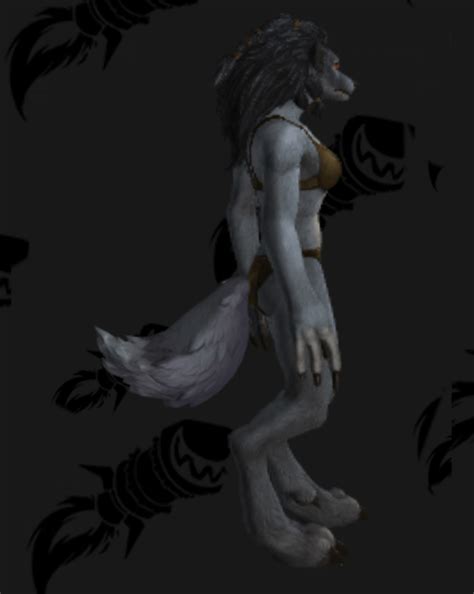 Why Dont Worgen Have Tails R Wow