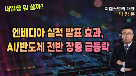 내일장 뭐 살까 엔비디아 실적 발표 이후 반도체 소부장ai 관련주 전반 변동성 확대 박창윤 대표 주식 주가