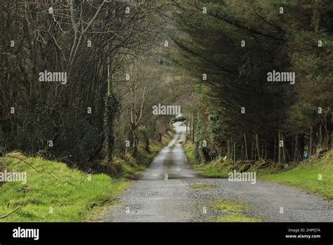 Narrow Field Path In Ireland Hi Res Stock Photography And Images Alamy