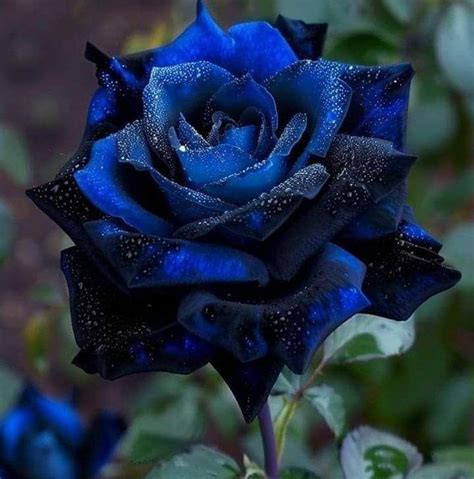 Дроновите создадоа хаос во Данска Владимир Трајковски Facebook