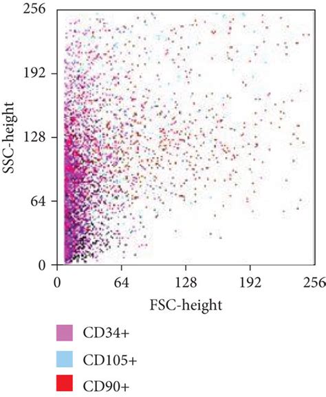 example dot plot graphs showing cell morphology and cell distribution