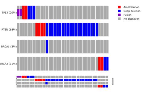 A Dash Bio Oncoprint Component That Shows Mutation Events For The