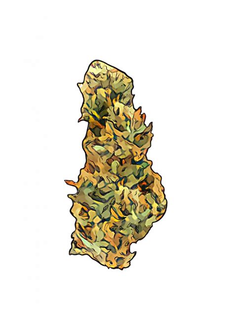 Kaya Full Joy Flavor Fix