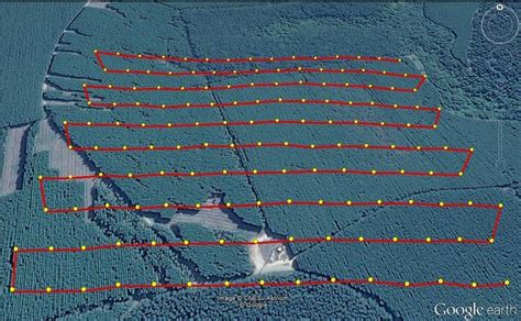 The Uav Followed A Predefined Route On A Farm Containing Eucalyptus