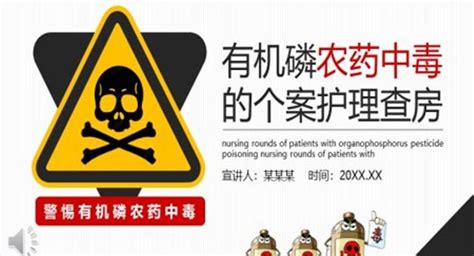 先兆早产患者的个案护理查房ppt模板下载 Lfppt