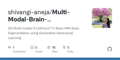 GitHub Shivangi Aneja Multi Modal Brain Segmentation D Multi Modal FLAIR And T Brain MRI