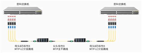 B Mtp Fs