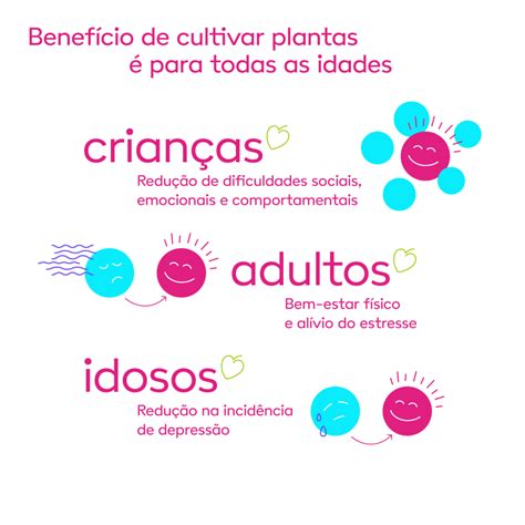 Cuidar de plantas faz bem para saúde Veja os benefícios