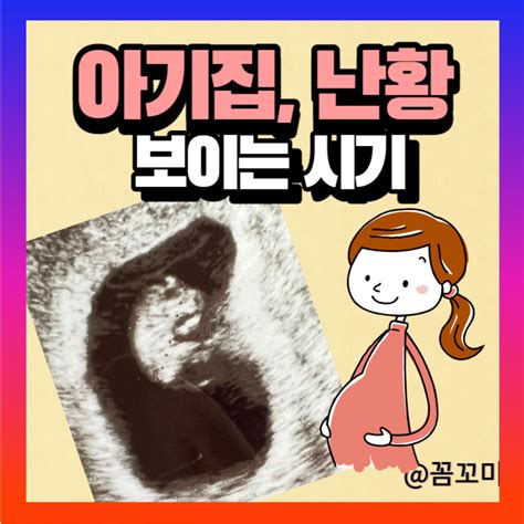 아기집 보이는 시기 크기 임신 난황 함께 확인하는 시기 네이버 블로그