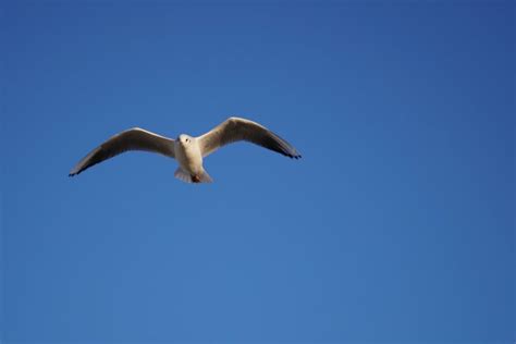 Im Test: Sony Alpha 6400 - fotoMAGAZIN