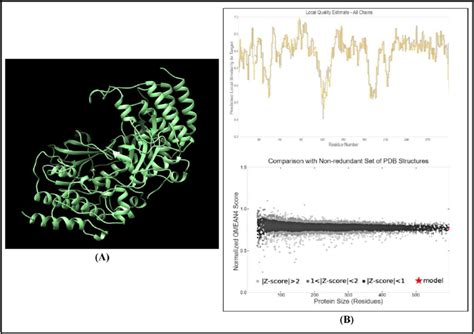 Demonstrates Multi Epitope Vaccine Design 3d Modeling Refining And