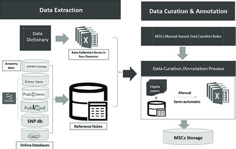 Detailed Description Of Both Data Extraction And Data Download