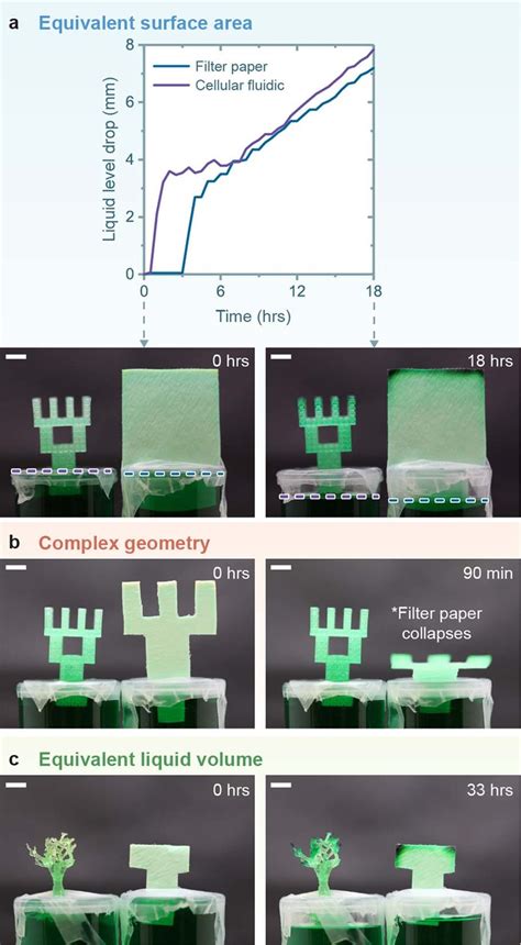 Transpiration Experiments Comparing Cellular Fluidic Structures With